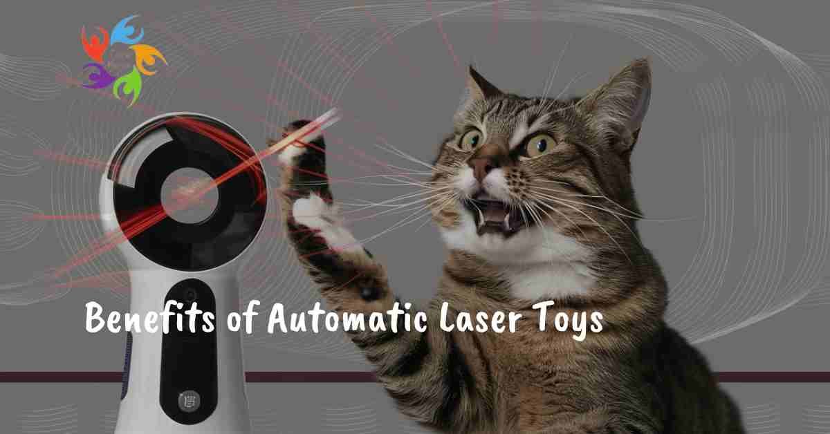 How Automatic Laser Cat Toy Can Improve Your Cat's Health?