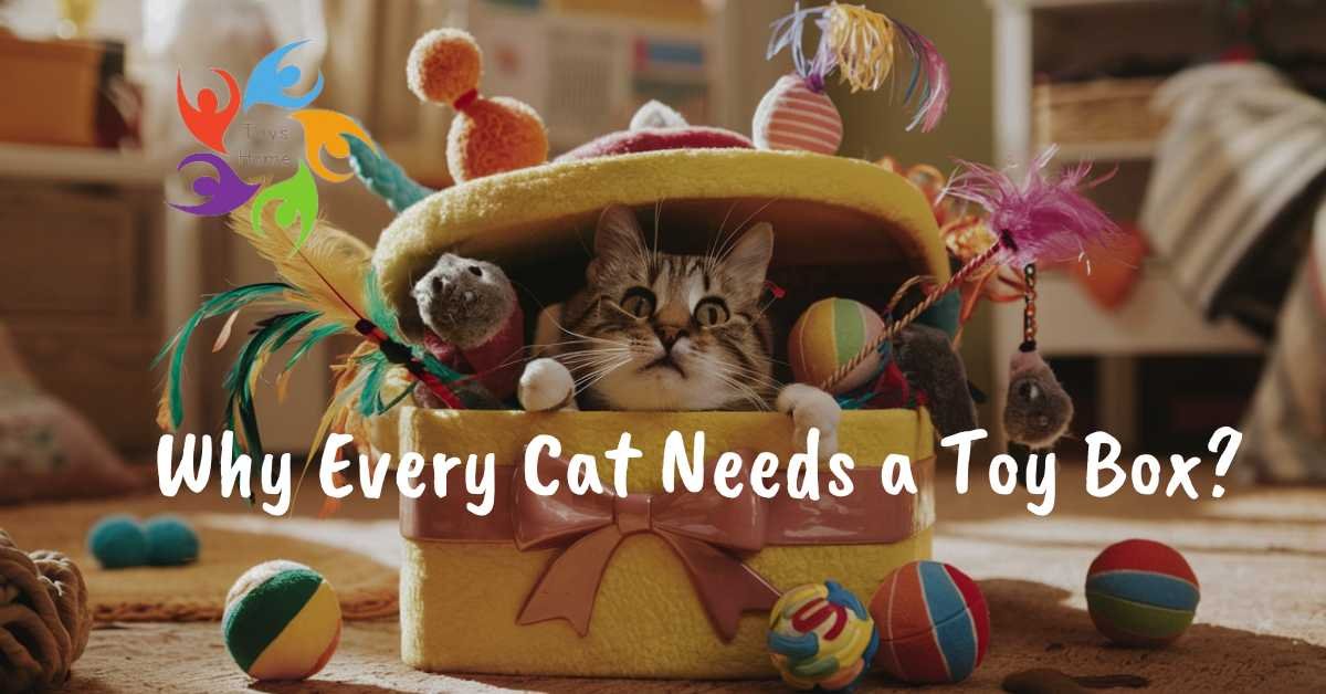 The Ultimate Cat Toy Box: Keep Your Beloved Feline Joyful and Organized