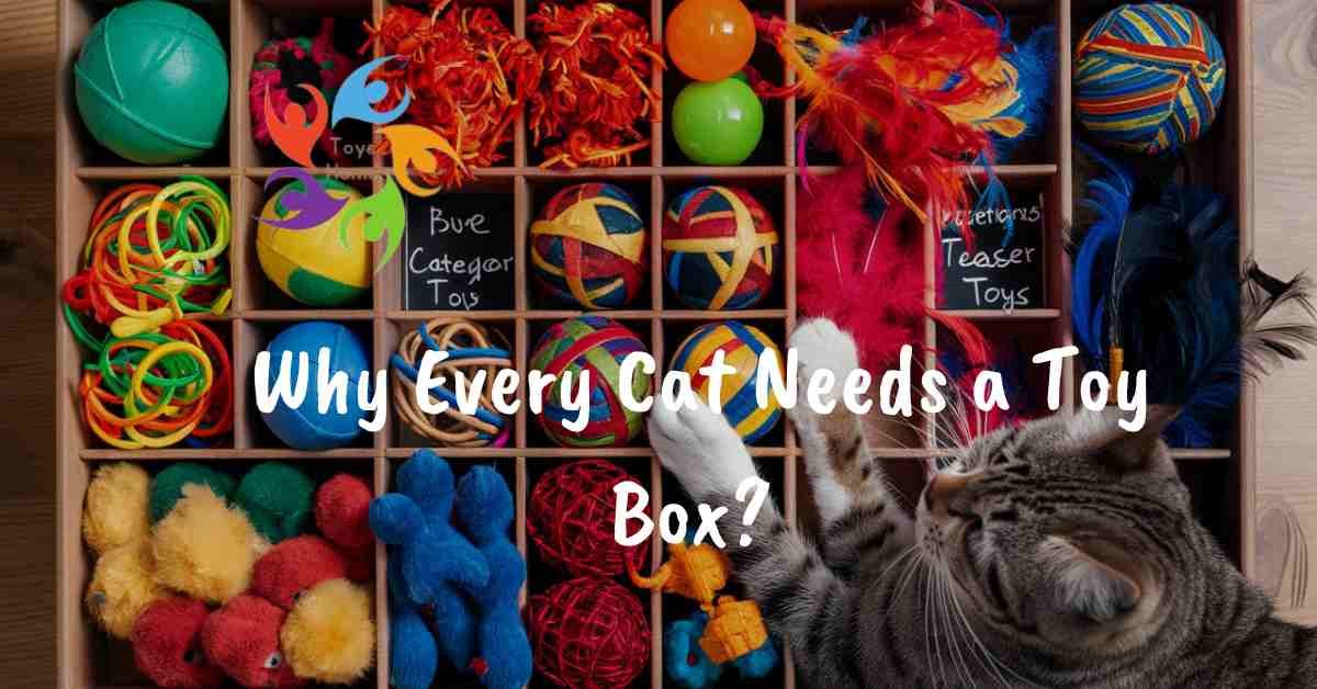 The Ultimate Cat Toy Box: Keep Your Beloved Feline Joyful and Organized
